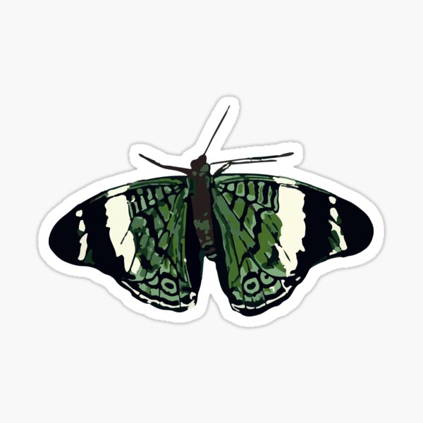"Le Papillon" Sticker for Sale by chl03r00 | Redbubble