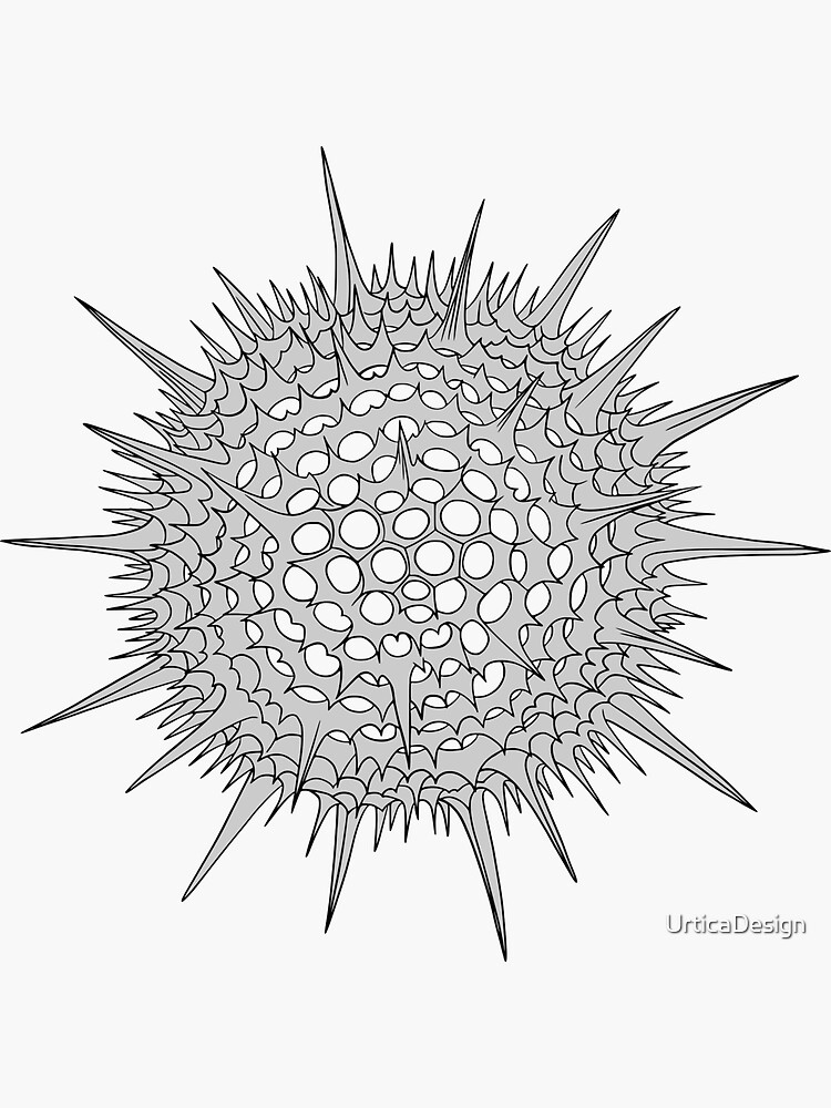 "Radiolaria" Sticker for Sale by UrticaDesign | Redbubble