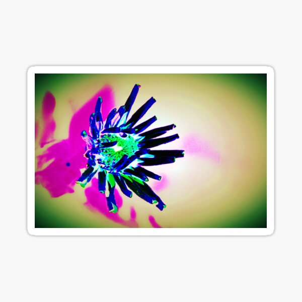 "Zesty Zinnia" Sticker for Sale by JustArtz | Redbubble