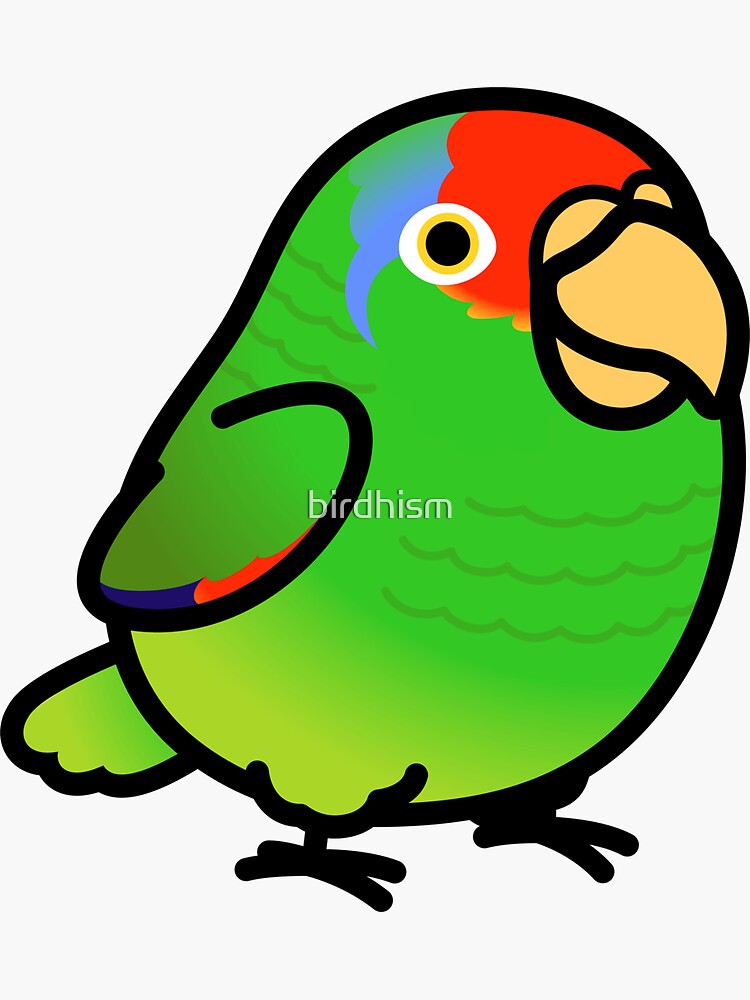 "Chubby Red Crowned Amazon" Sticker for Sale by birdhism | Redbubble