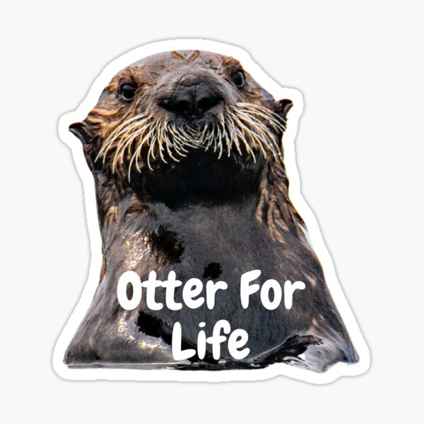 "Otter For Life" Sticker for Sale by MerchGiants | Redbubble