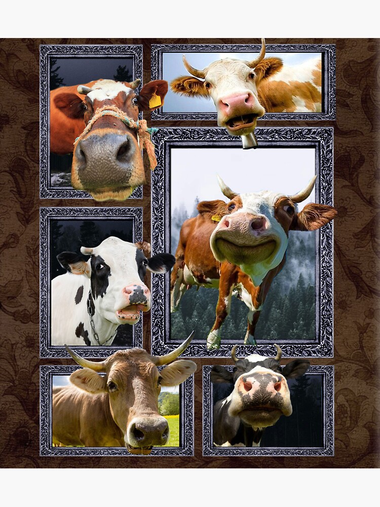"Cute Cows Happy Cow" Sticker for Sale by ChristherWitte | Redbubble