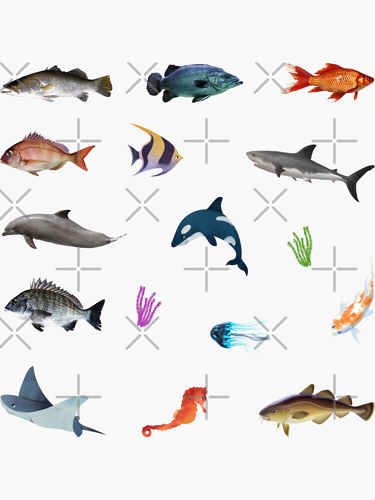 "Fishes sticker pack" Sticker for Sale by KatyDArt | Redbubble