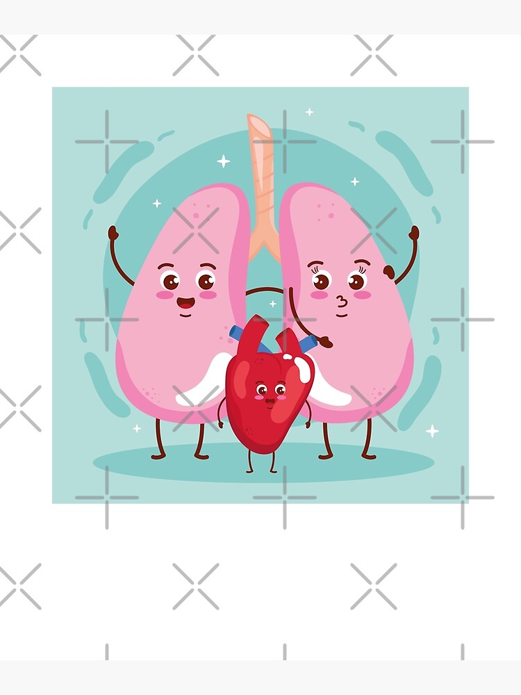 "Rotes Herz und Lunge Menschliche Anatomie Lustig" Poster von ...