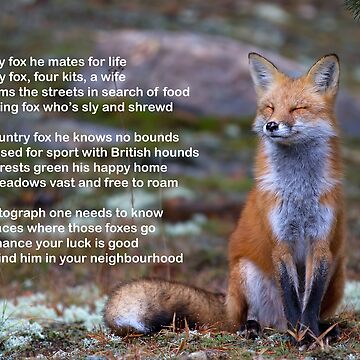 "A Red Fox Poem" Sticker for Sale by James Cumming | Redbubble