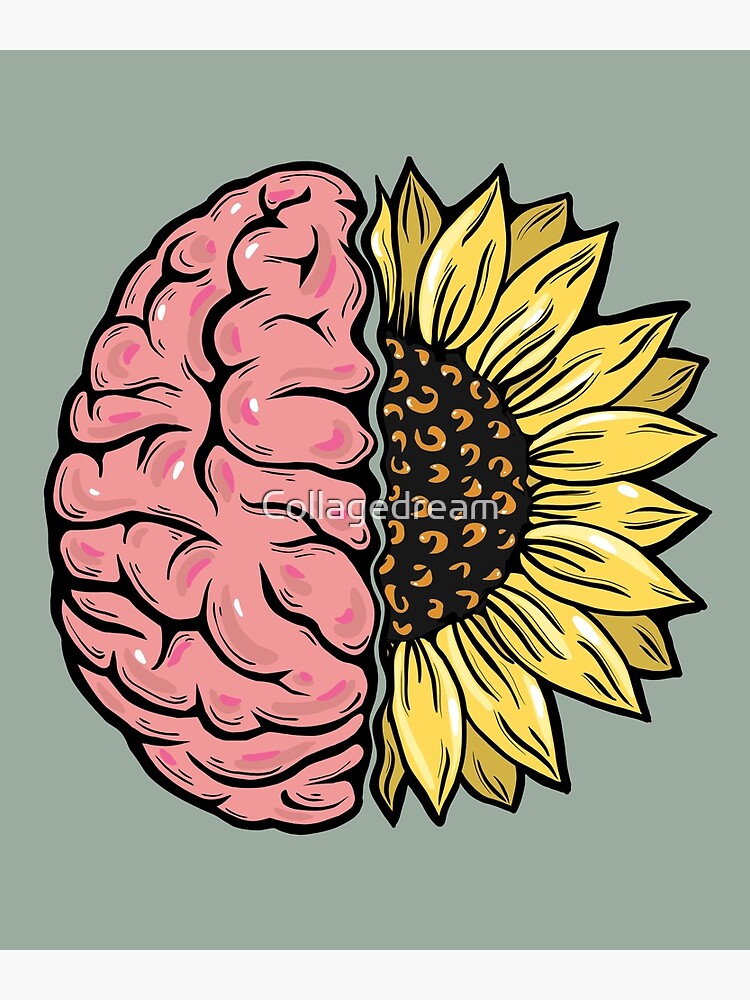 Intelligent Psychology And Mental Health Sunflowers And Brain