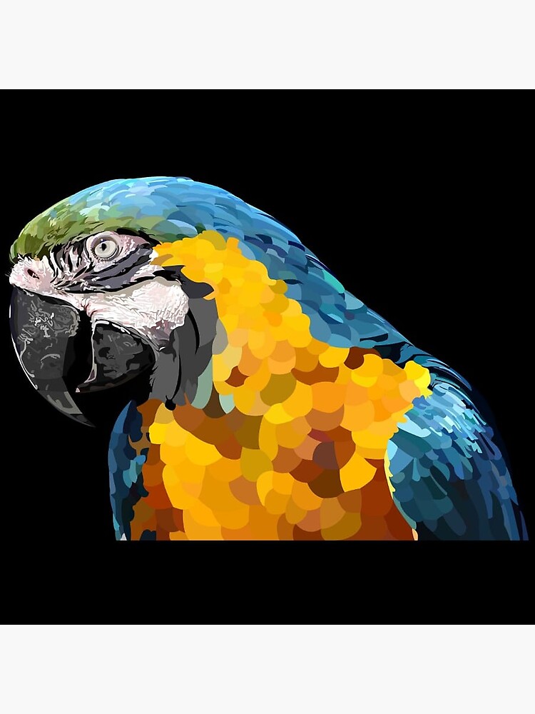"2D Parrot " Sticker for Sale by 2Dcrs | Redbubble
