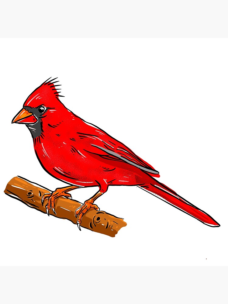 "Cardinal bird illustration " Poster for Sale by adwar | Redbubble
