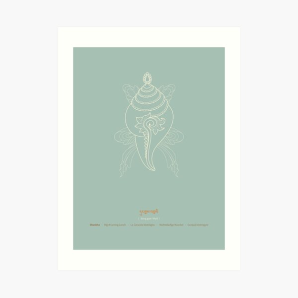 "Shankha – Right-turning Conch Shell" Art Print by Thoth-Adan | Redbubble