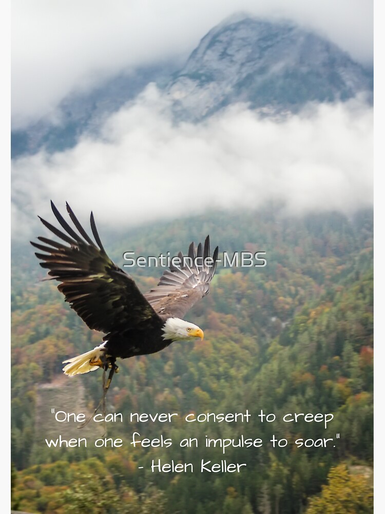 "Impulse To Soar - Helen Keller Inspirational Quote" Sticker for Sale ...