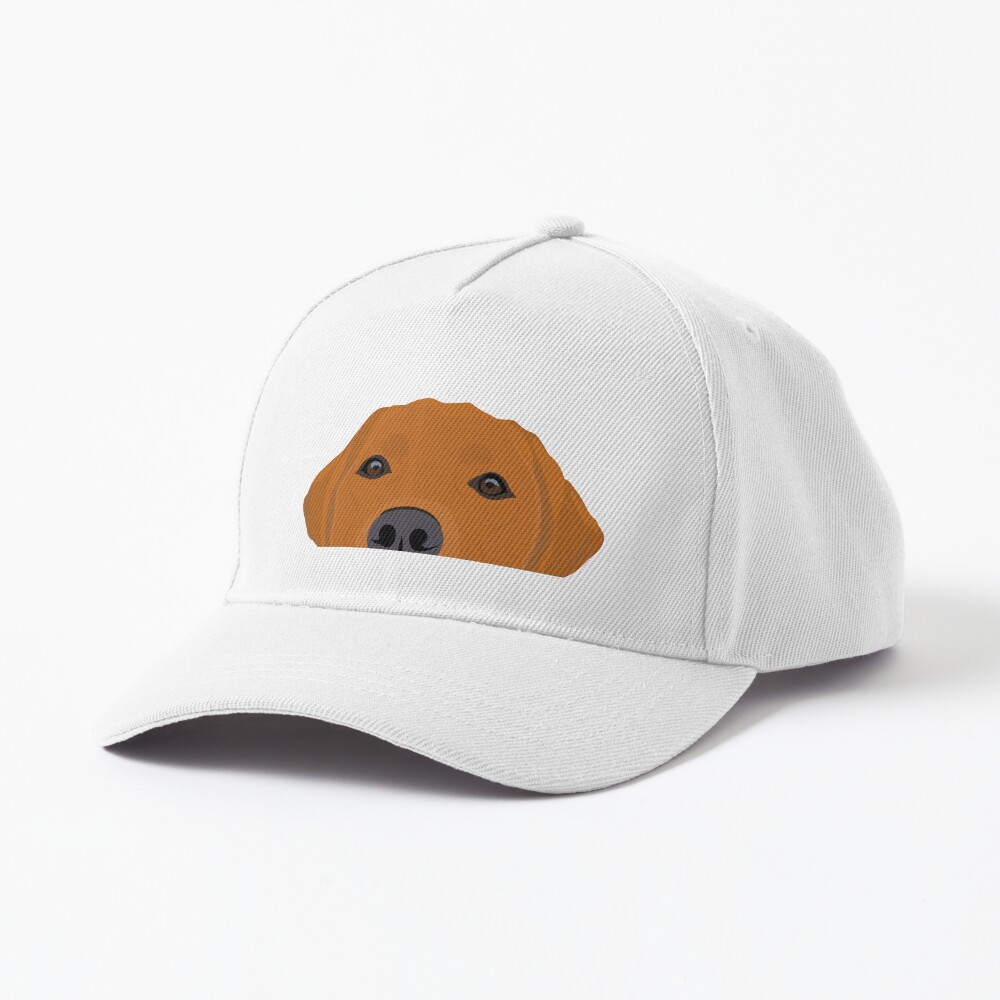 "Curious Red Labrador" Sticker for Sale by kherrin | Redbubble