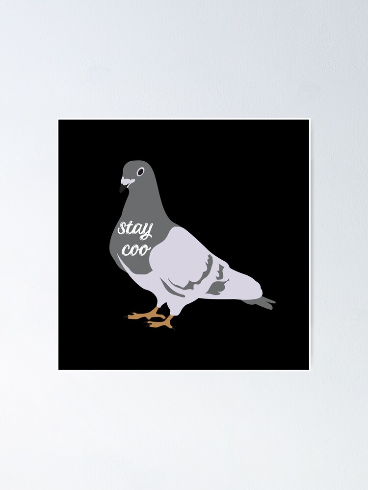"Stay Coo Funny Piegon Illustration " Poster for Sale by X-Trends ...