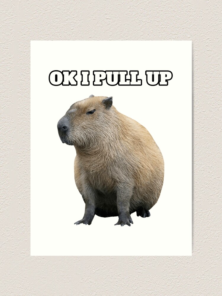 "Meme Ok I Pull Up Capybara Funny Capybara" Art Print for Sale by ...