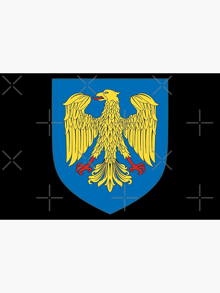"Coat of arms of Friuli, Italy" Poster for Sale by mo91 | Redbubble