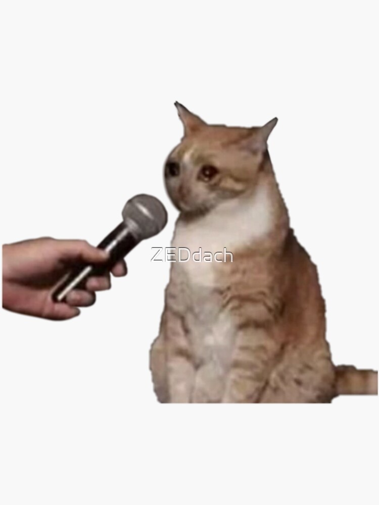 "cat crying meme" Sticker for Sale by ZEDdach | Redbubble