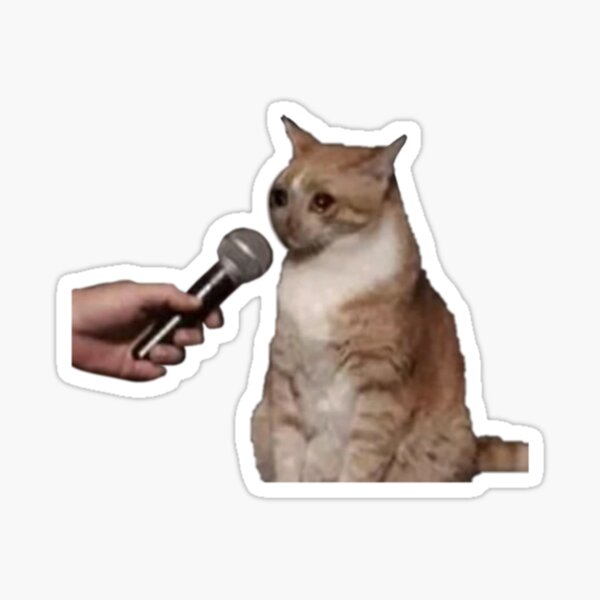 "cat crying meme" Sticker for Sale by ZEDdach | Redbubble
