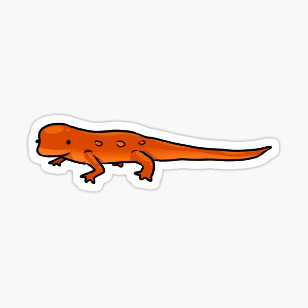 "Cute Little Red Spotted Newt " Sticker for Sale by SydneyMaeBee ...