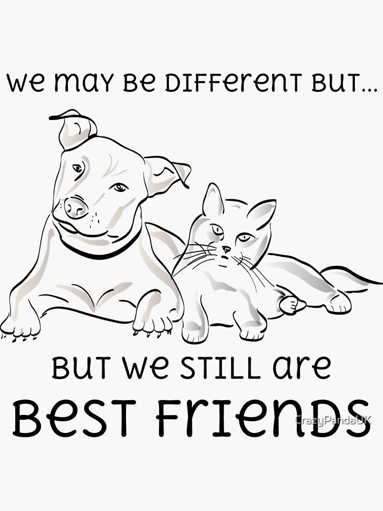 "We May Be Different But... We Still Are Best Friends" Sticker for Sale ...