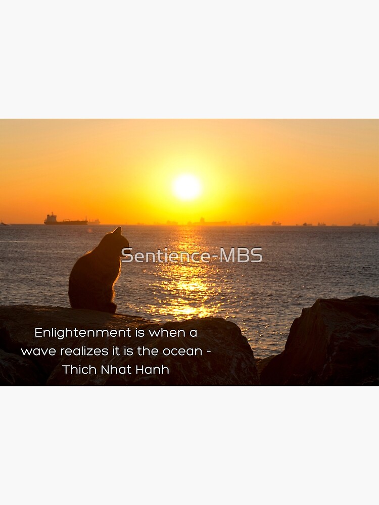 "Thich Nhat Hanh Enlightenment Quote" Poster for Sale by Sentience-MBS ...