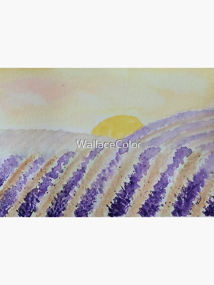 "Rolling Lavender Fields" Poster for Sale by WallaceColor | Redbubble