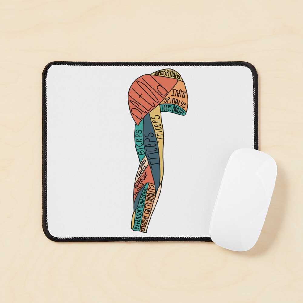 "Labeled Arm Muscle Anatomy " Poster for Sale by Katherine Winner ...