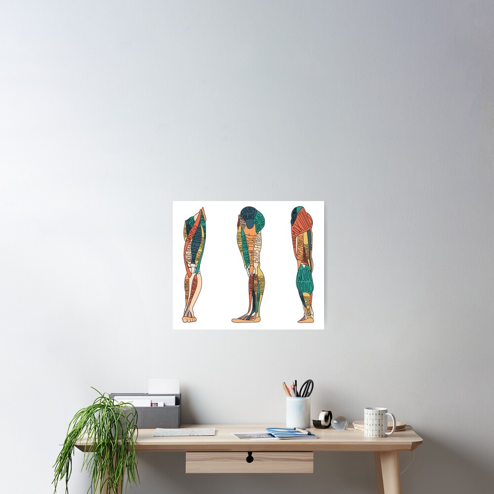 "Labeled Leg Muscle Anatomy " Poster for Sale by KatherineWinner ...