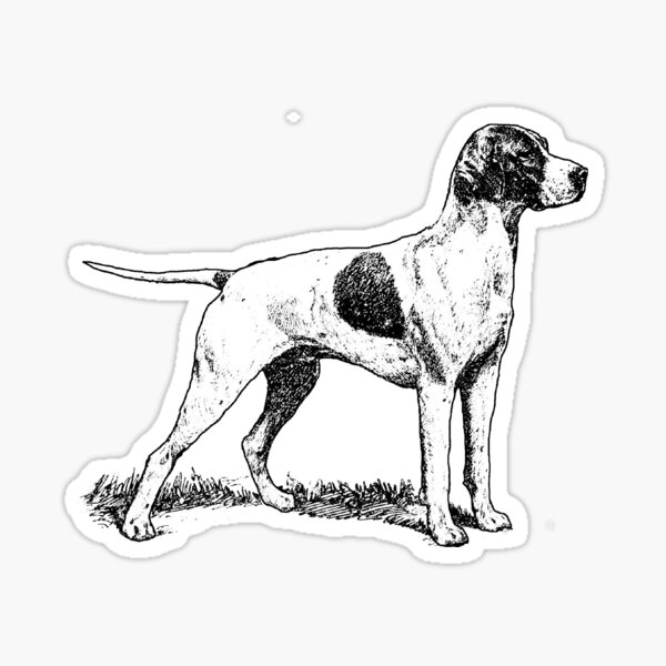 Akc Stickers | Redbubble