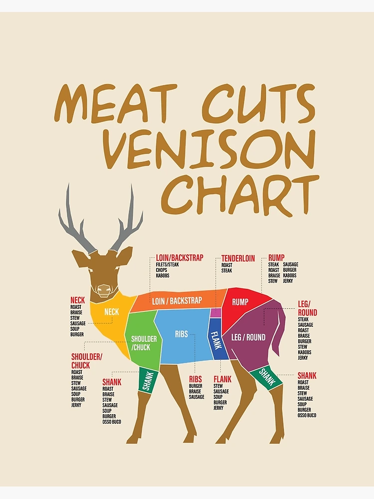 Venison Cuts Of Meat Diagram With Pictures