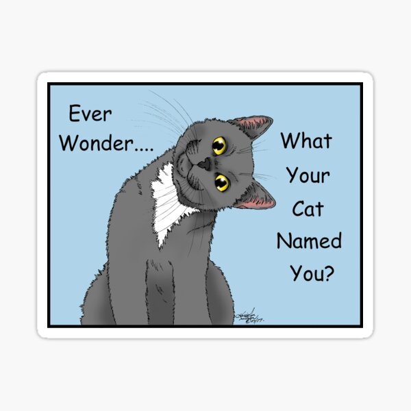 "Curious Cat" Sticker by tigressdragon | Redbubble