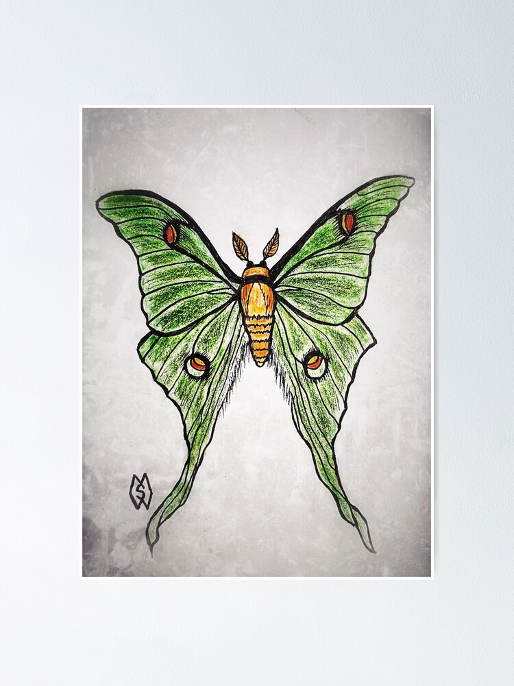 "Luna moth" Poster for Sale by mattstarr | Redbubble