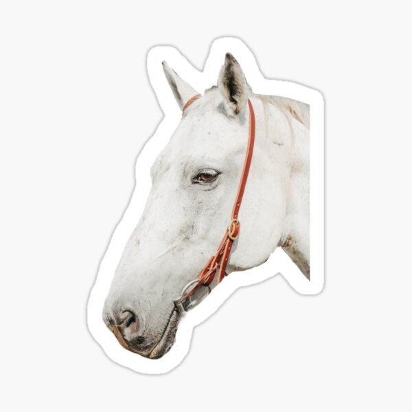 "HORSE HEAD STICKER" Sticker for Sale by RHMAZTN0524 | Redbubble