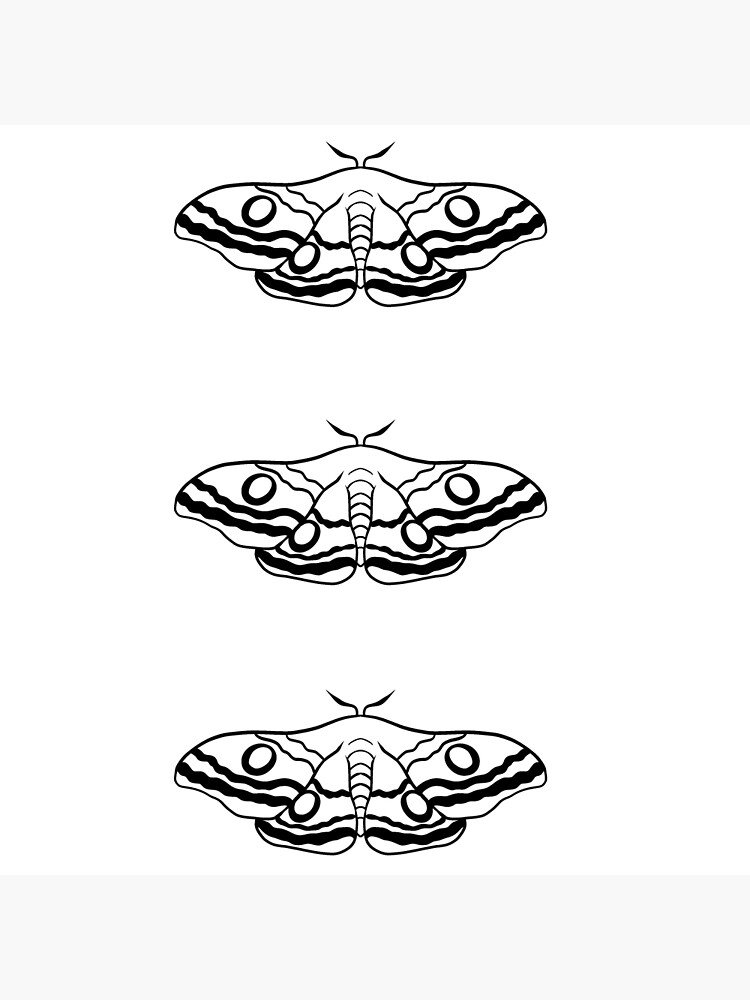 "Emperor Moths black outline " Art Print for Sale by Chronic-Cryptid ...