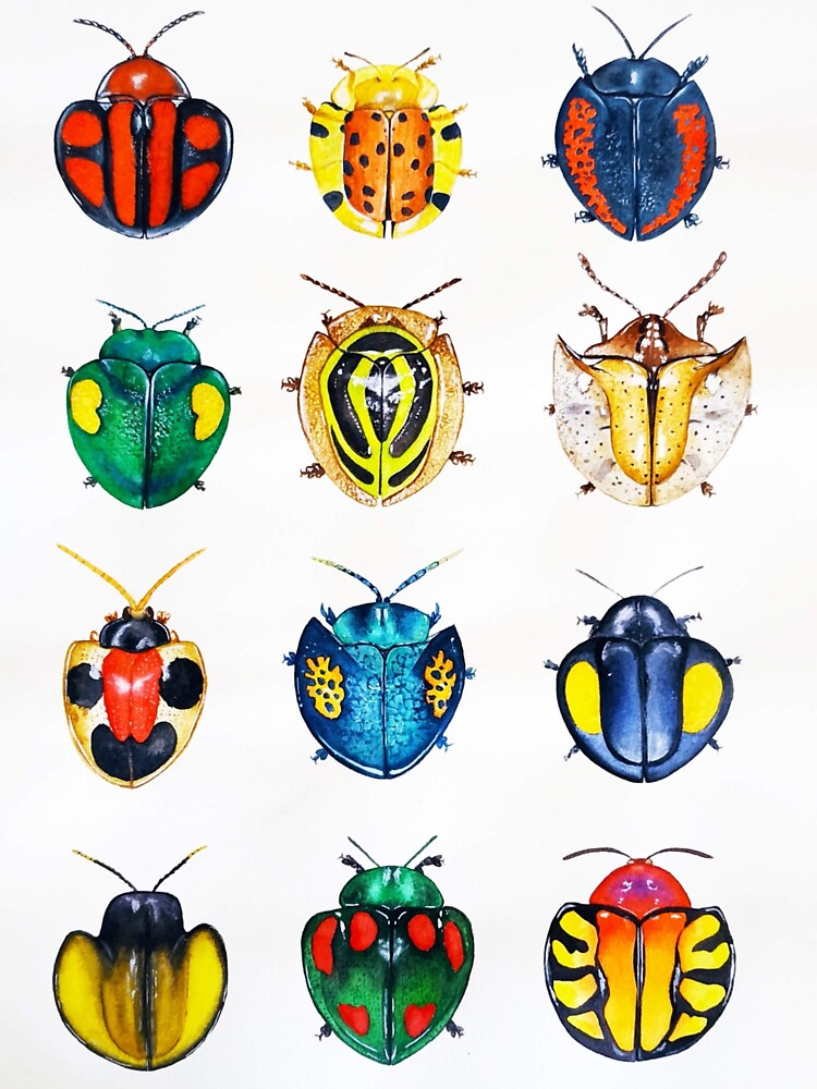 "Fun colorful bugs pattern " Sticker for Sale by NussayArt | Redbubble