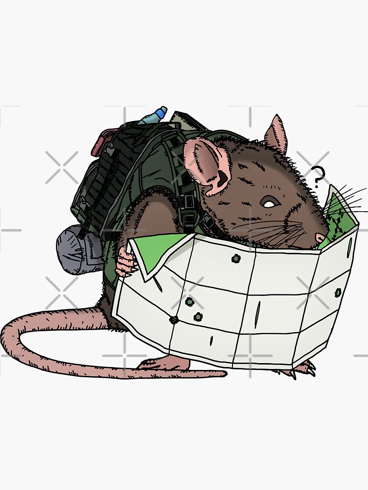"Pathfinder, The Confused Rat" Sticker for Sale by AA2Battery | Redbubble