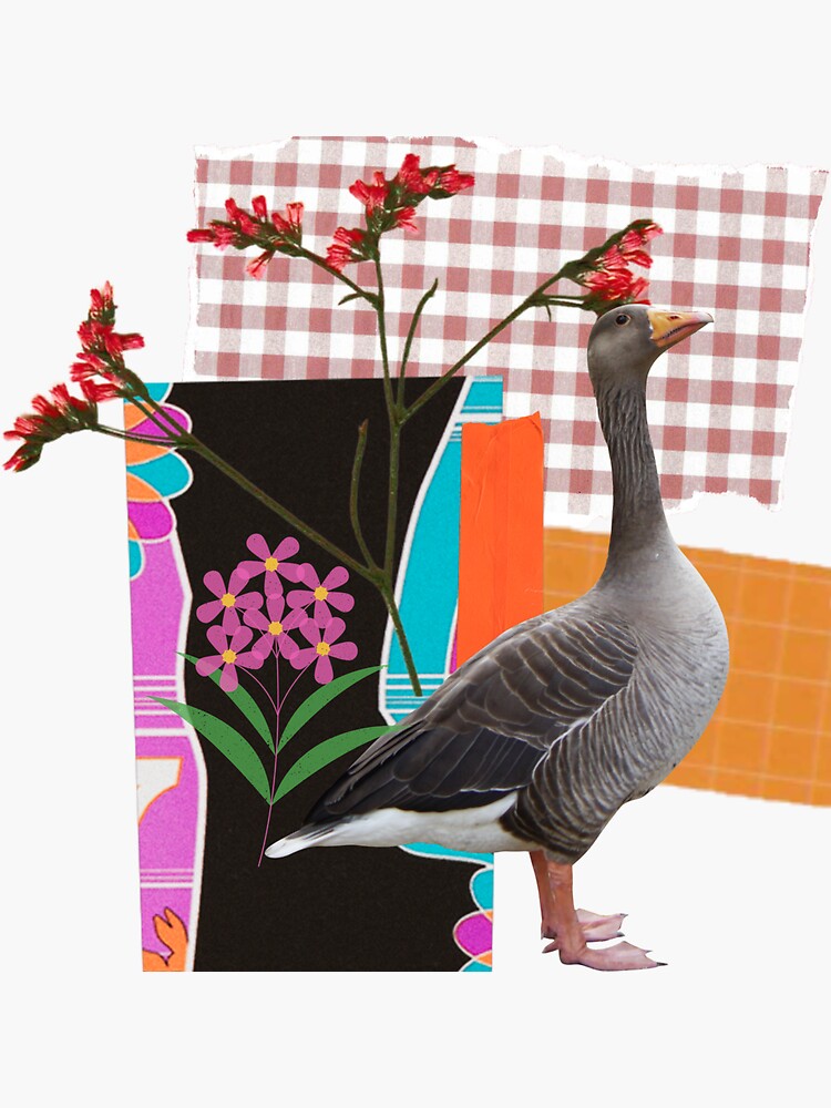 "Collage .Goose." Sticker for Sale by MilaDeyART | Redbubble