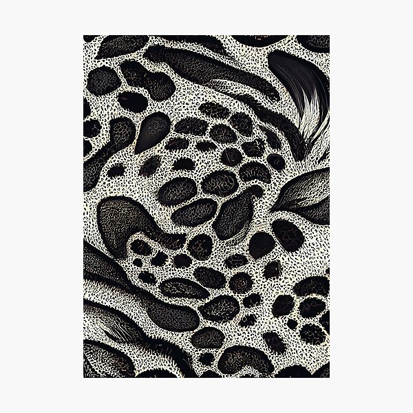 "Leopard Skin Pattern - White And Black Highly Detailed Illustrated ...