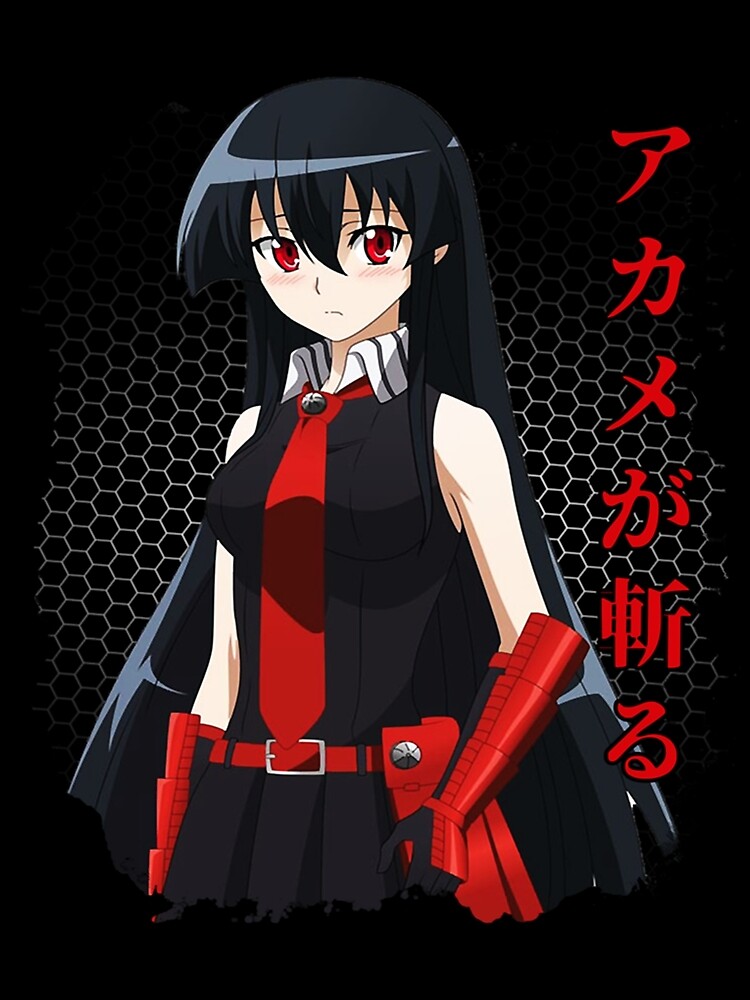 Akame Ga Kiru Sheele Lubbock Akame And Bulat Poster For Sale By Doishopl Redbubble