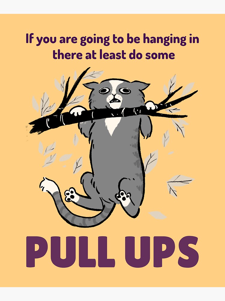 "Cat Pulling Ups" Sticker for Sale by Jacoko | Redbubble