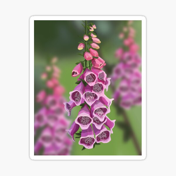 "Foxglove " Sticker for Sale by Purplepugprints | Redbubble