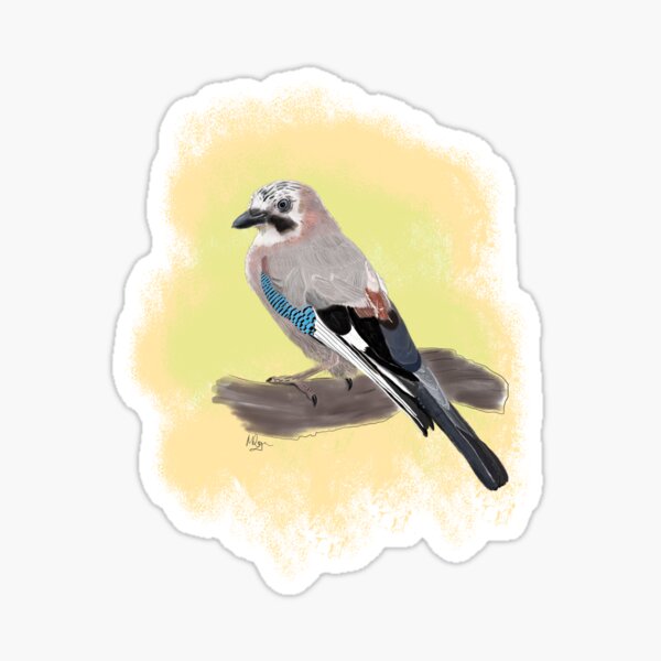 "Eurasian Jay" Sticker for Sale by rogue-design | Redbubble