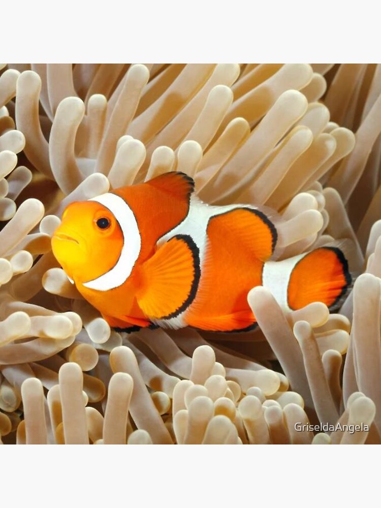 "Nemo fish blue ocean summer" Sticker for Sale by GriseldaAngela ...