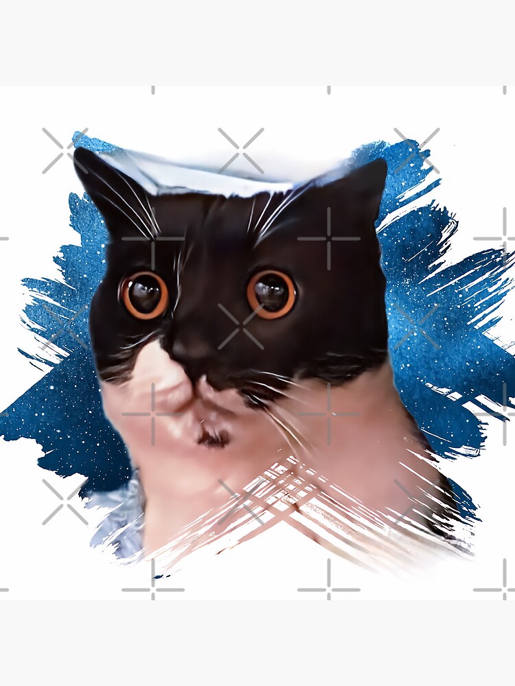 "Funny cat meme" Art Print for Sale by WeDesignBest | Redbubble