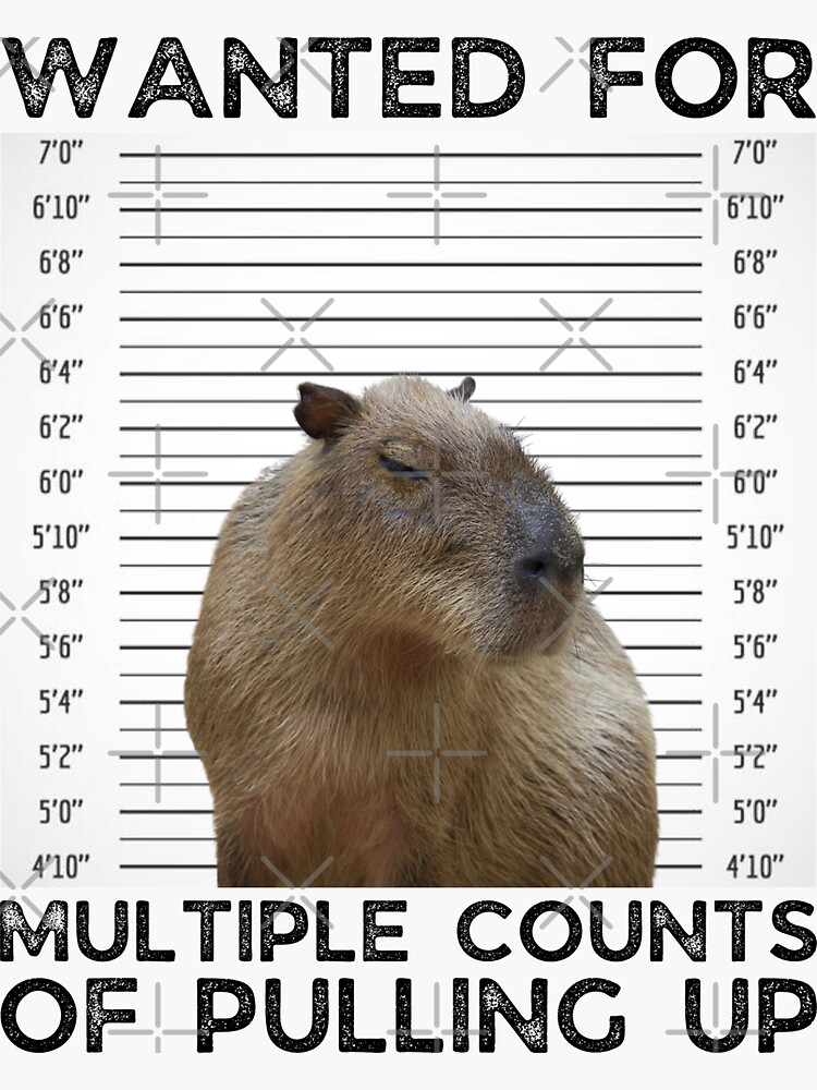 "Capybara Wanted for Multiple Counts of Pulling Up" Sticker for Sale by ...