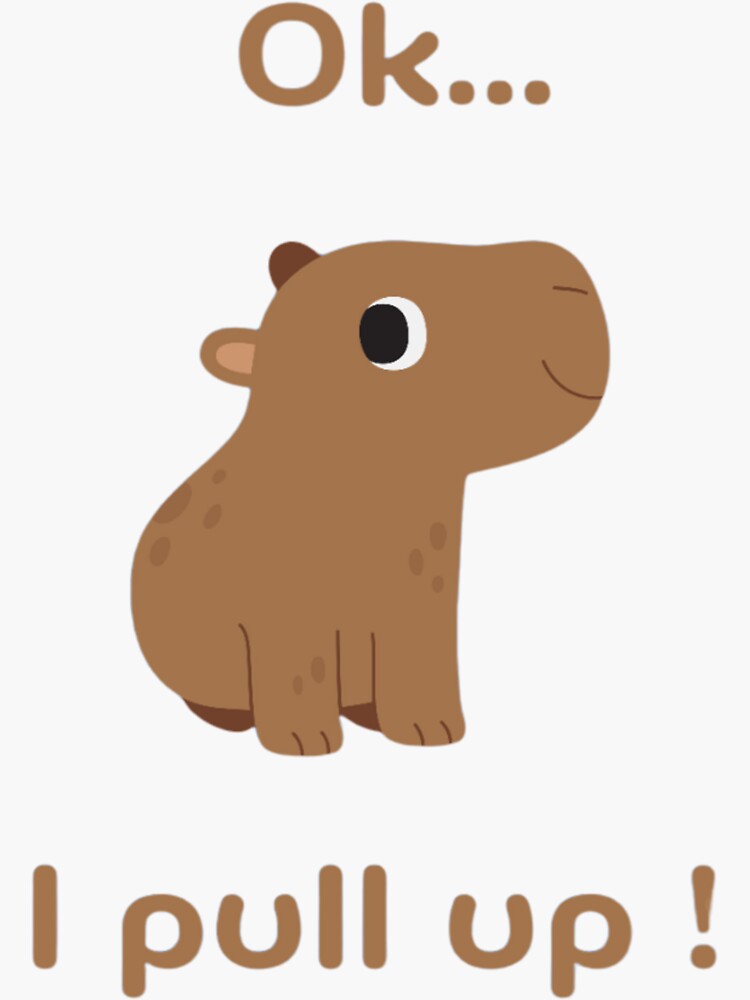 "Ok I pull up" Sticker for Sale by rightproduct | Redbubble