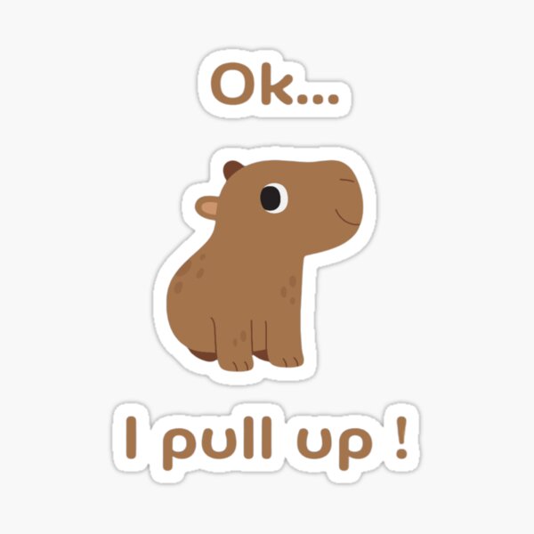 "Ok I pull up" Sticker for Sale by rightproduct | Redbubble