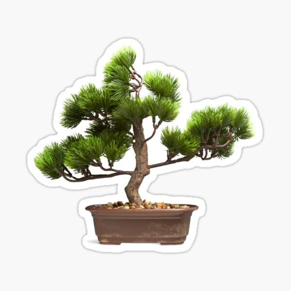 "bonsai tree" Sticker for Sale by Domi2410 | Redbubble