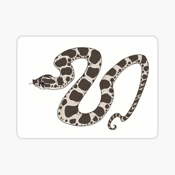 "Anery Hognose Snake" Sticker for Sale by TwilightSaint0 | Redbubble