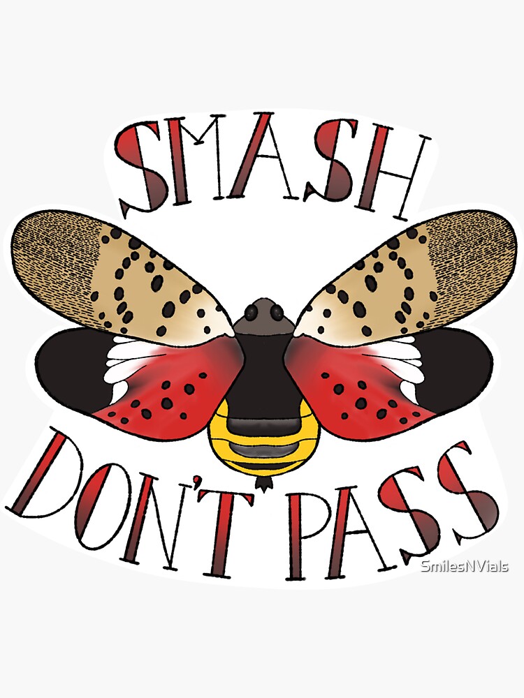 "Spotted Lantern Fly - Smash Don't Pass - Fight Invasive Species ...