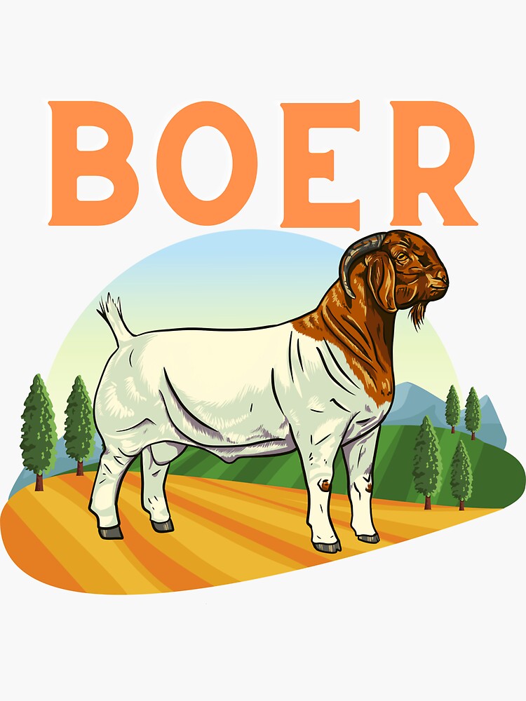"Boer Goat Buck Farm" Sticker for Sale by Dreaminkedart | Redbubble