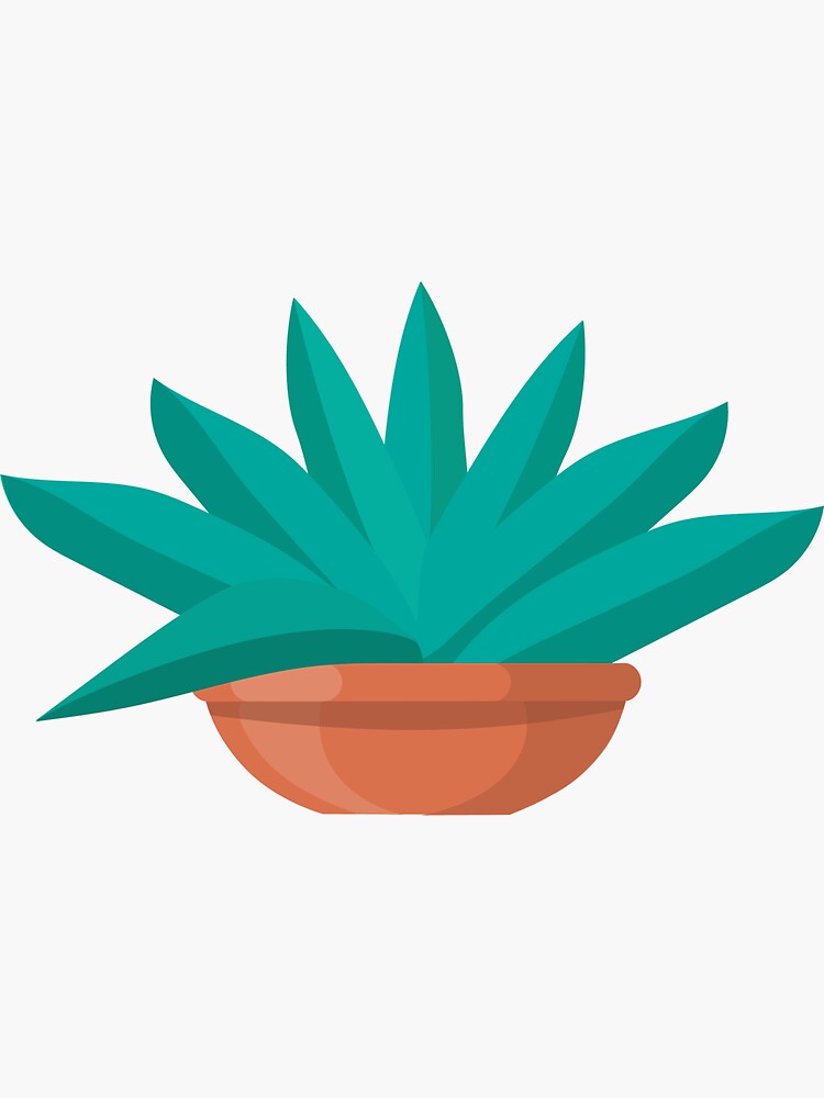 "Agave attenuata - Foxtail Agave - Room plants" Sticker for Sale by ...